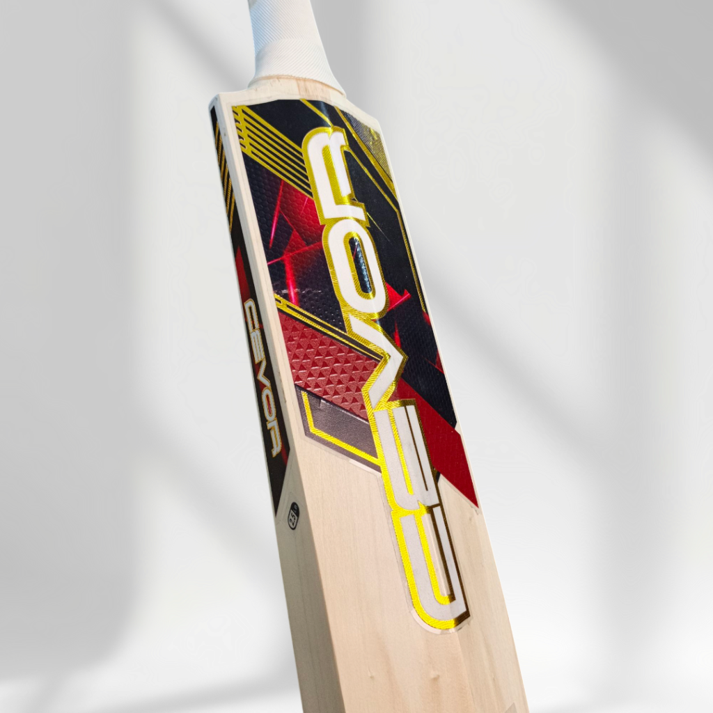 Dragon Edition - Grade 1 Kashmir Willow Cricket Bat